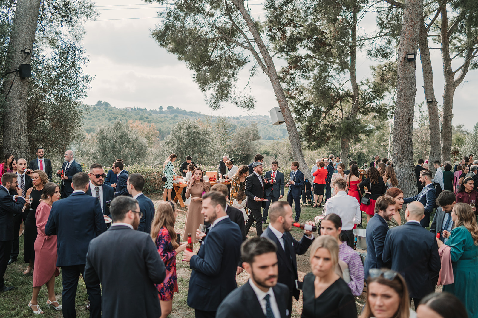 Menú para bodas en masías de Valencia - Catering Noray